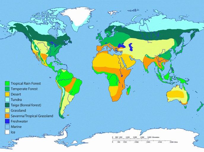 Primary geography resources