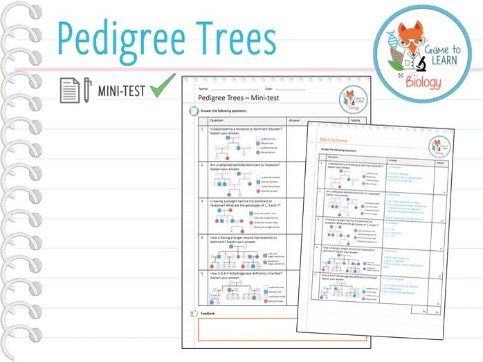 Pedigree Trees - Mini-test (KS4) | Teaching Resources