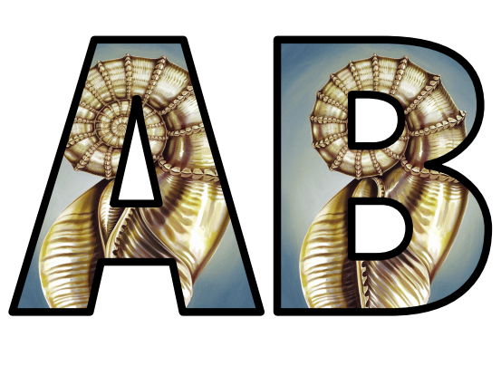 Fossil Dinosaur Shell FIndings Lettering Set Display Title Letters ...