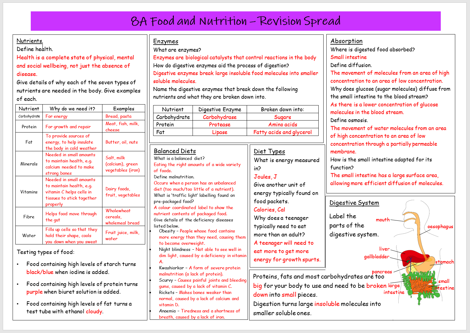 Food and Nutrition Revision Spread | Teaching Resources