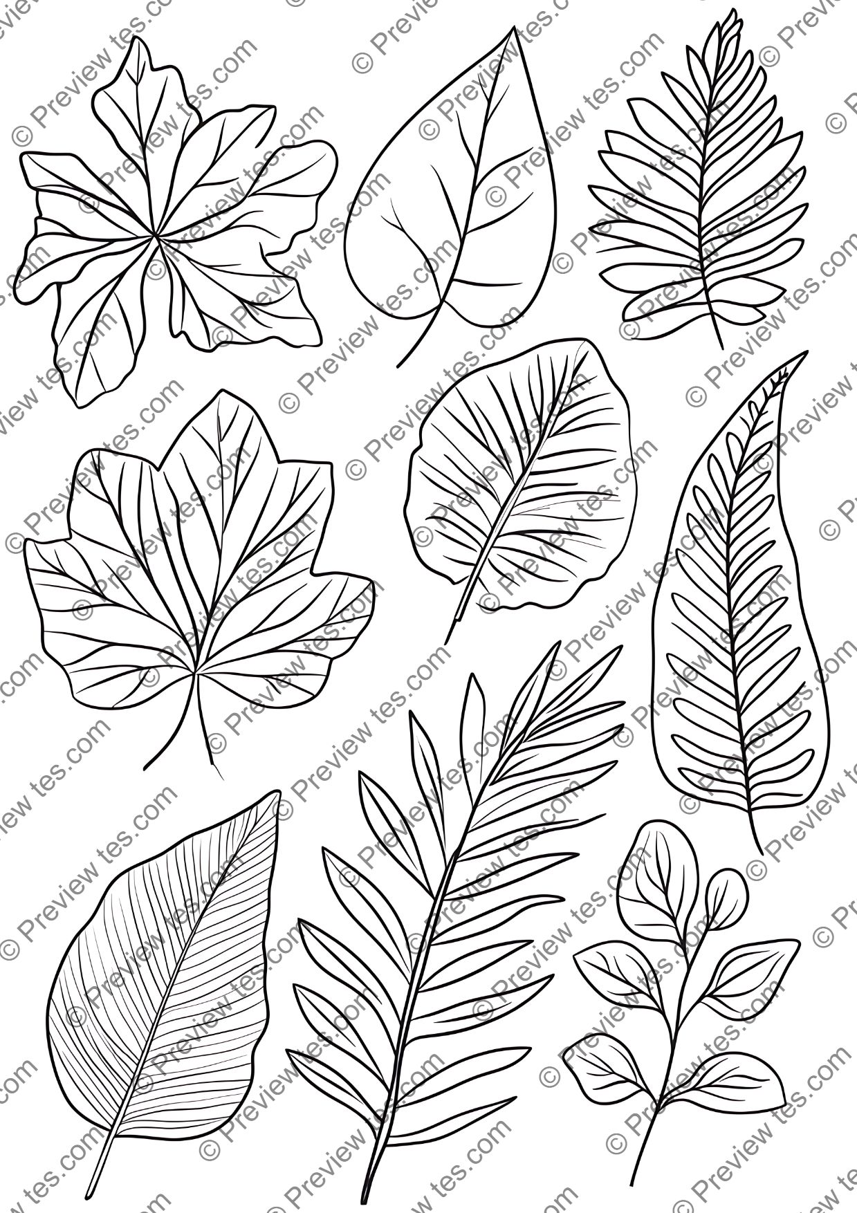 40 Autumn Leaf Colouring Pages | Nature-Themed Creative Activity for ...