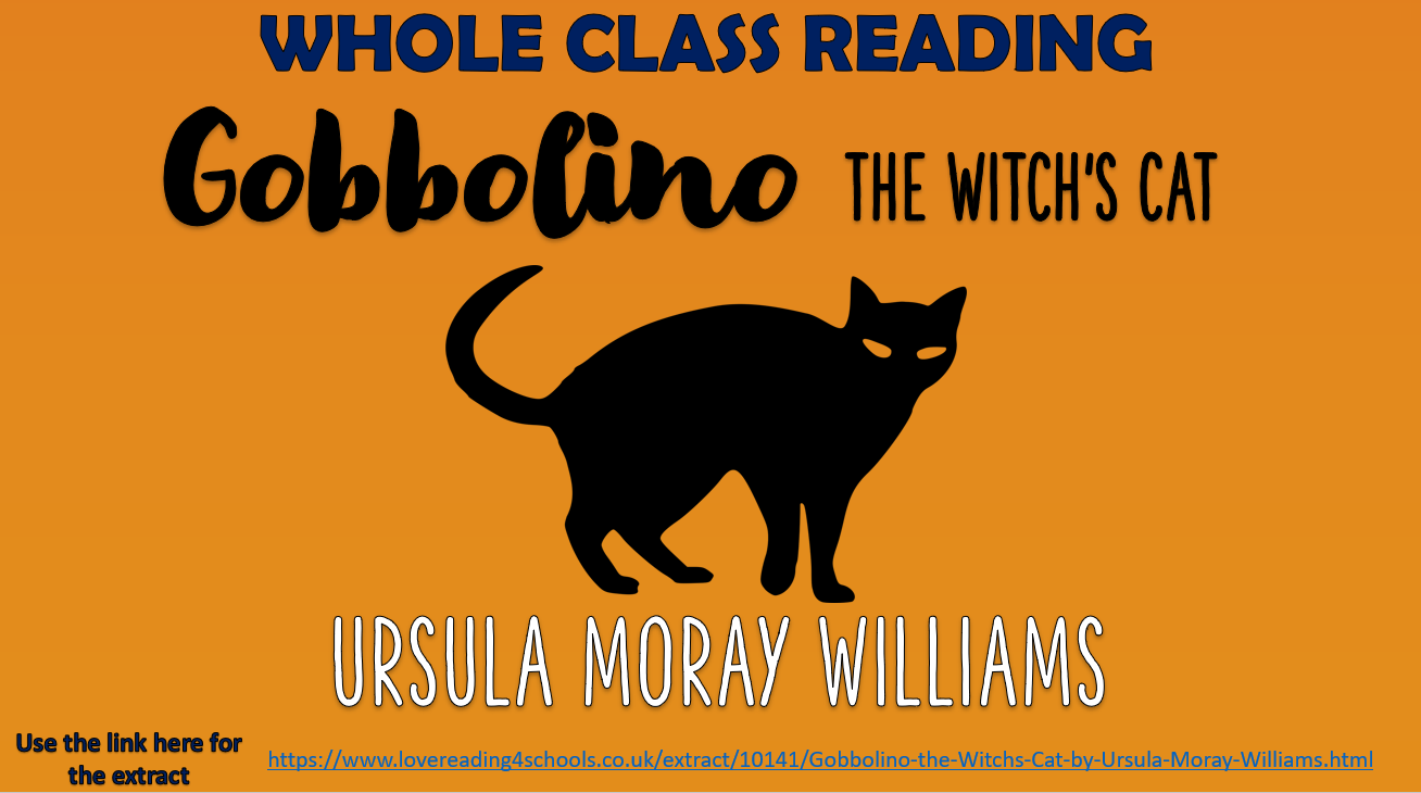Gobbolino the Witch's Cat - Whole Class Reading Session! | Teaching ...