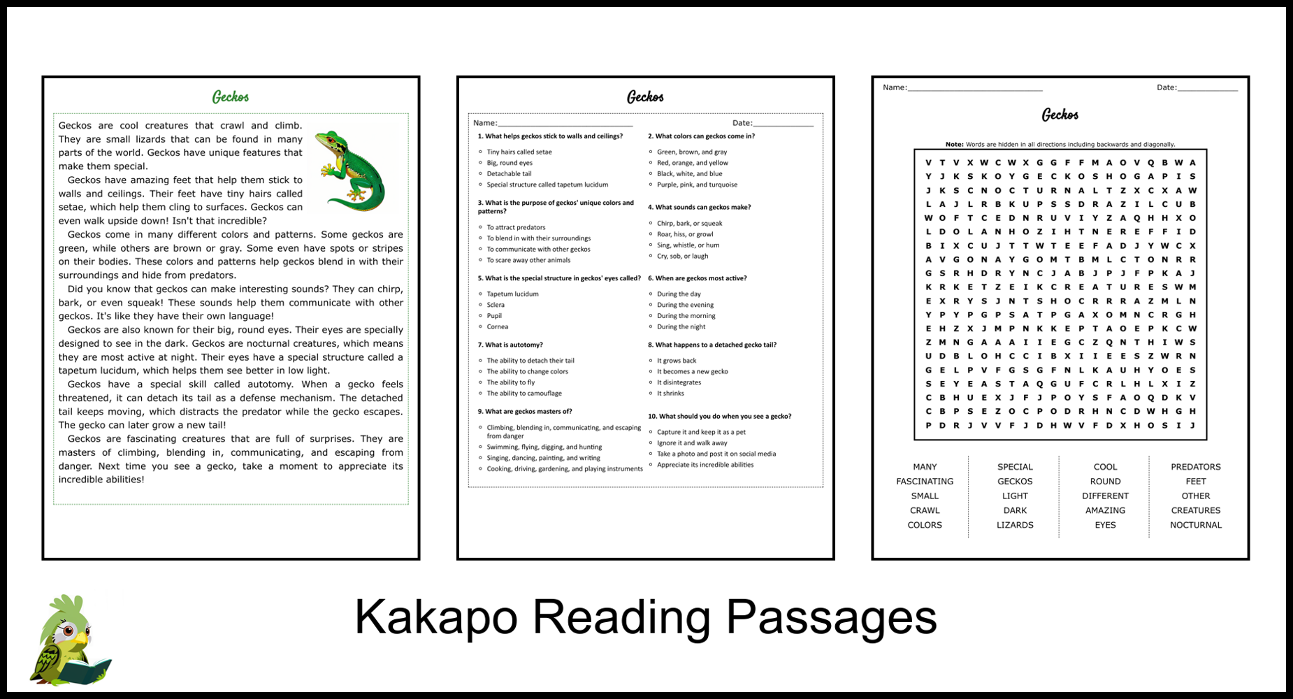 Geckos Reading Comprehension and Word Search | Teaching Resources