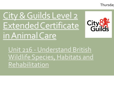 Effect of Climate Change on British Wildlife | Teaching Resources