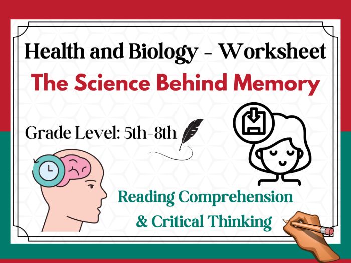 The Science Behind Memory: Reading Comprehension Passages & Questions ...