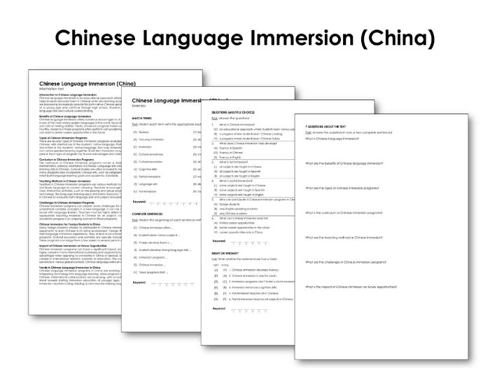 Chinese Language Immersion (China) | Teaching Resources