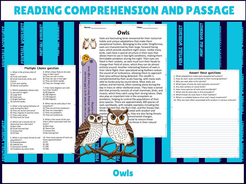 Engaging Reading Passage and Quiz on Fascinating Owls | Teaching Resources