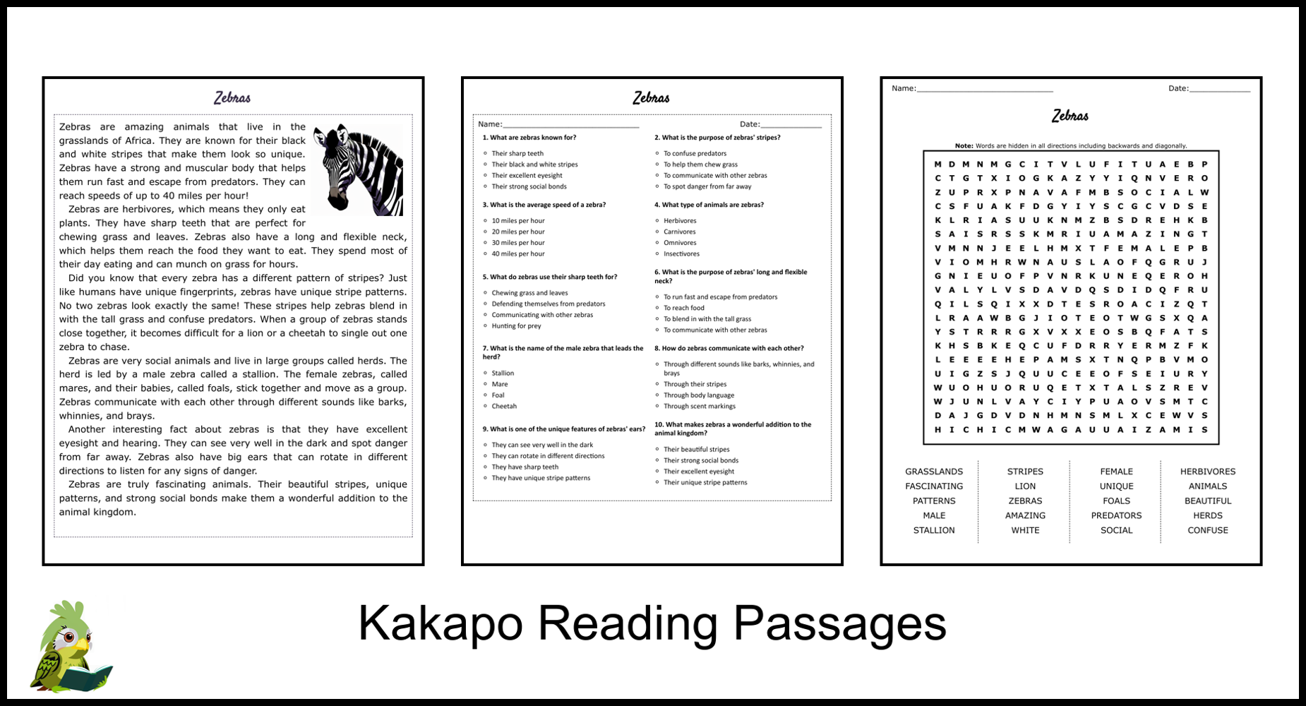Zebras Reading Comprehension and Word Search | Teaching Resources