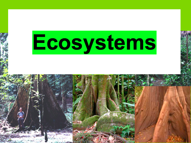 Whole-school south america resources