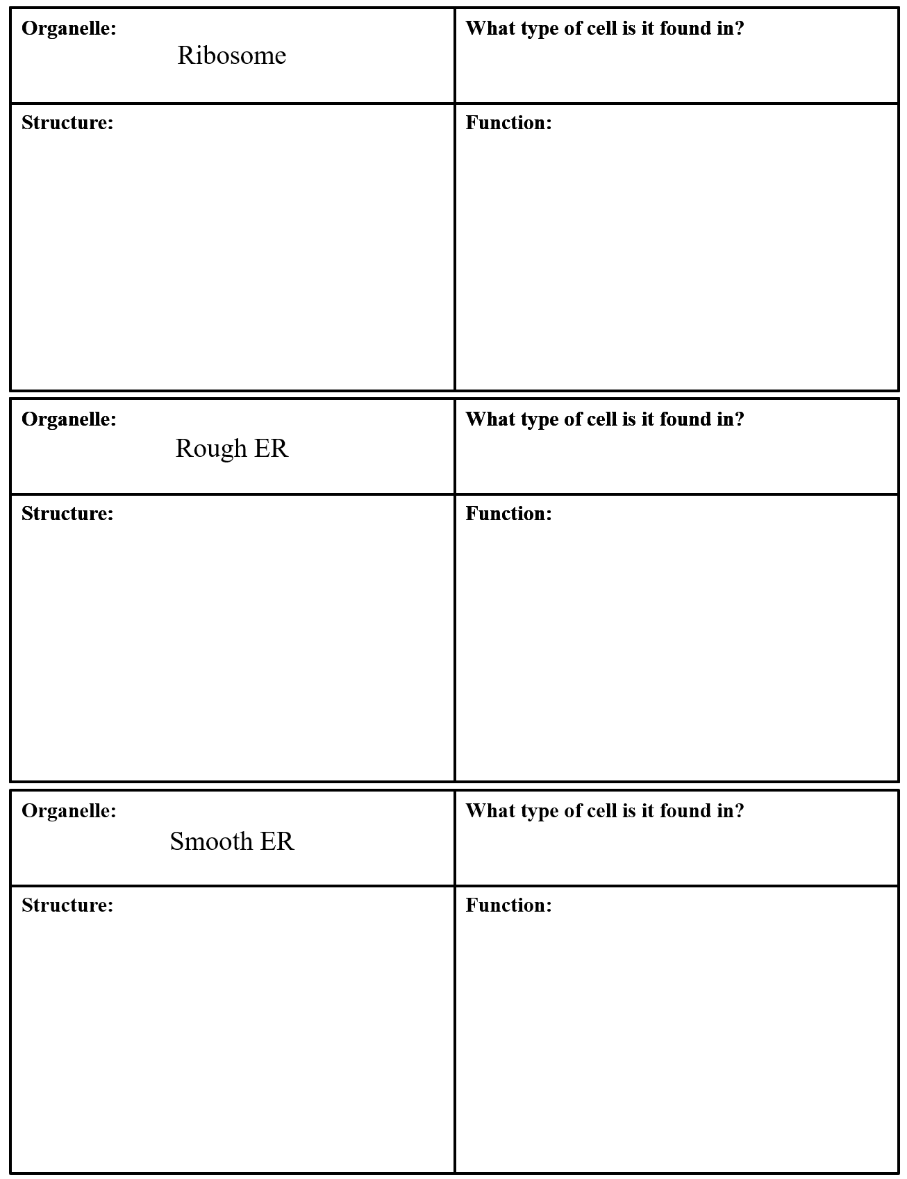 Cell Book Activity with rubric and answer key | Teaching Resources