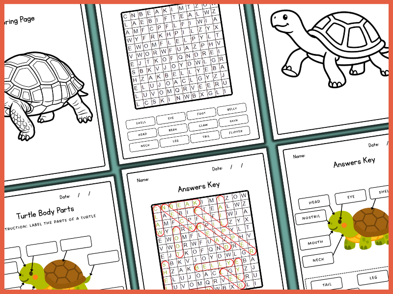 Turtle Body Parts | Reptile Anatomy | Labeling & Coloring | Science ...