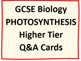 Photosynthesis GCSE Q&A complete set | Teaching Resources