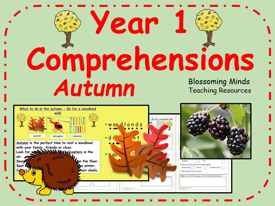 Year 1 comprehension - Autumn | Teaching Resources