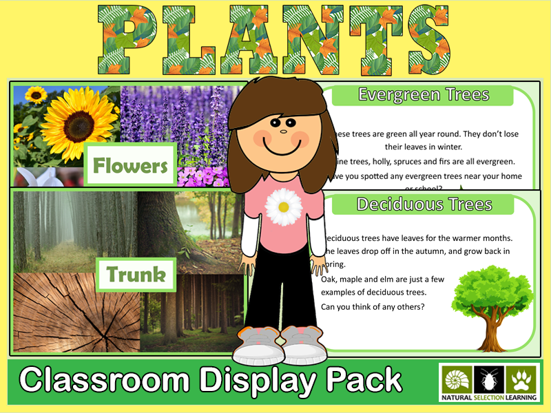 Plants and flowers EYFS resources