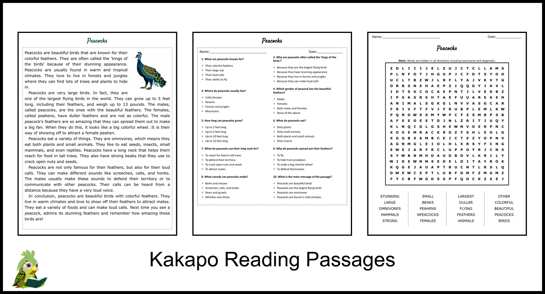 Peacocks Reading Comprehension and Word Search | Teaching Resources