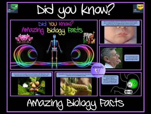 Amazing Biology Facts Presentation | Teaching Resources