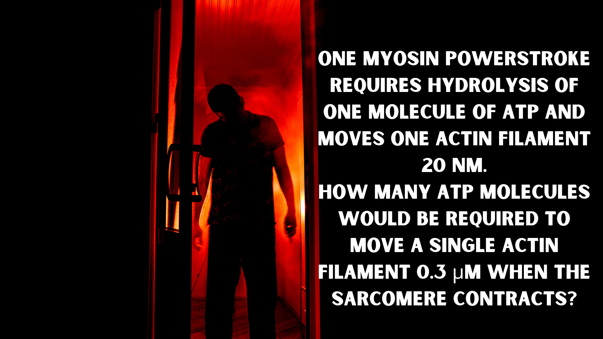 Muscles and Movement Digital Escape Room | Teaching Resources