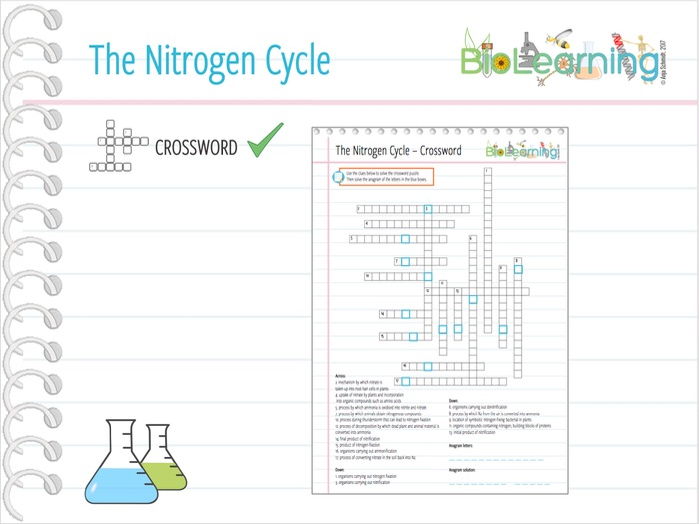 Nitrogen Cycle - 6x Activities and Games | Teaching Resources