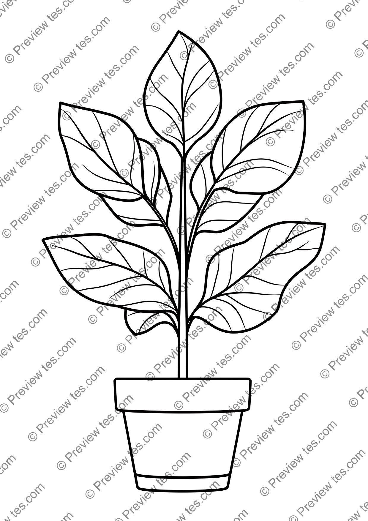 50 Plant Colouring Pages for Kids | Creative Nature Activity Sheets for ...