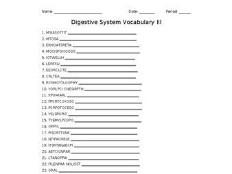 Digestive System III Word Scramble for a Medical Terminology Course ...