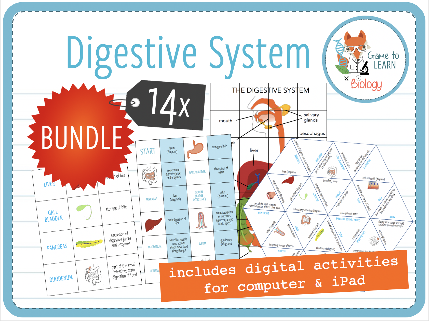 Digestive system - 14x Games and activities (KS3/4) | Teaching Resources