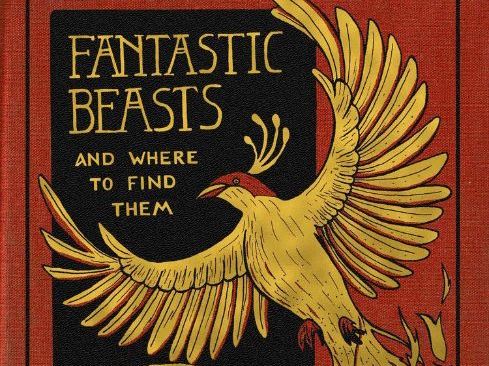 Year 2 English unit - Non-chronological report writing using Fantastic ...