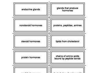 The Endocrine System Review Bundle for Anatomy or Physiology | Teaching ...