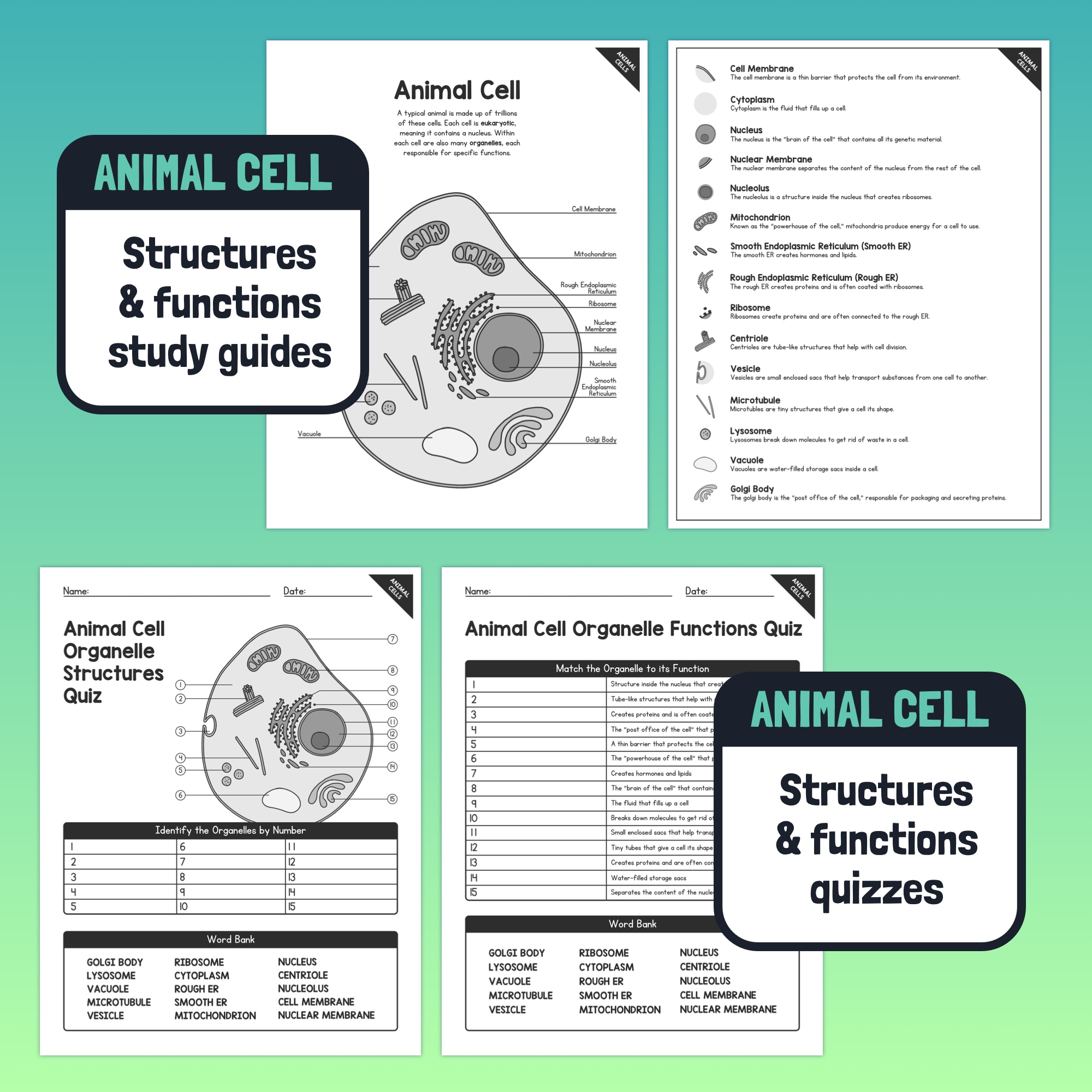 Plant & Animal Cell Structures Functions Unit | Organelle Study Guides ...