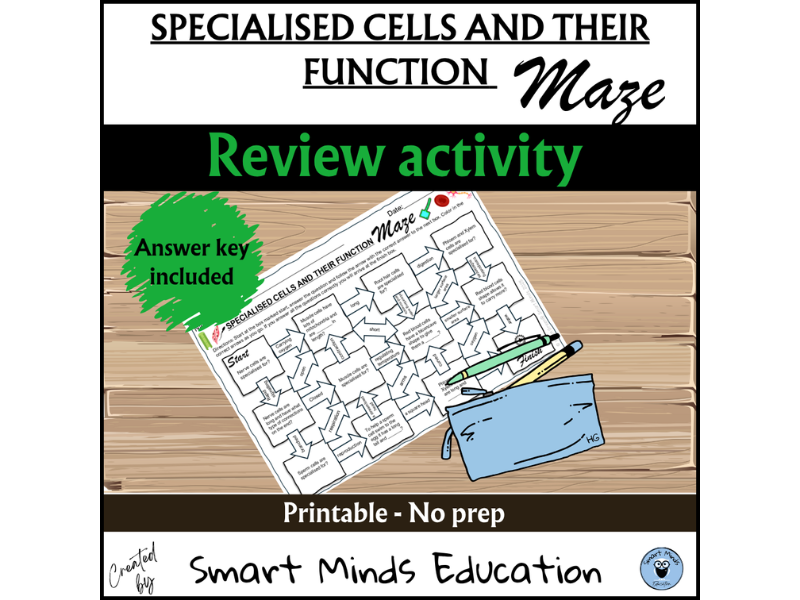 SPECIALISED CELLS AND THEIR FUNCTION MAZE ACTIVITY | CELL REVIEW ...