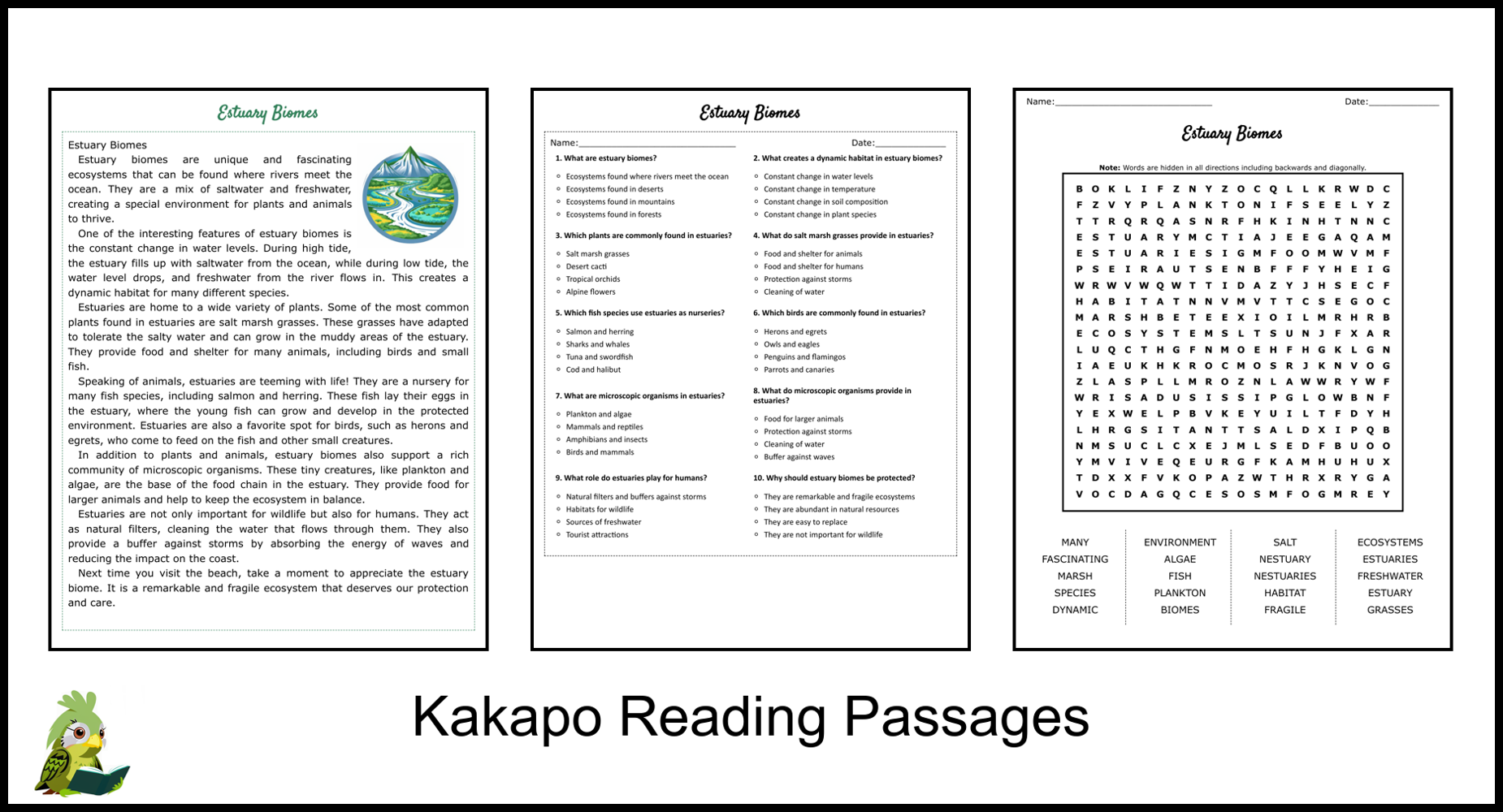 Estuary Biomes Reading Comprehension and Word Search | Teaching Resources