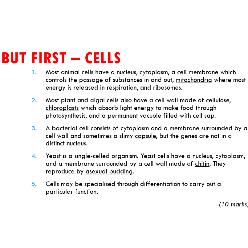 B1.6 Diffusion | Teaching Resources