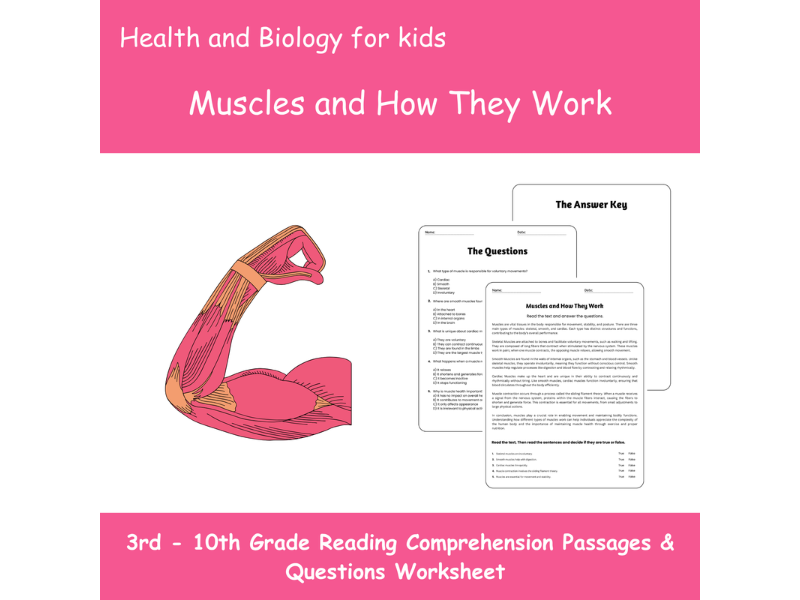 Muscles and How They Work Reading Comprehension Passages & Questions ...