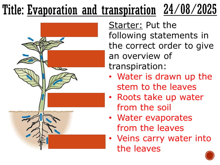 Evaporation and transpiration - complete lesson (GCSE 1-9) | Teaching ...
