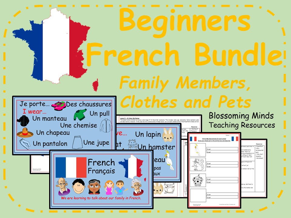 French Lesson Bundle - Family members, clothes and pets | Teaching ...