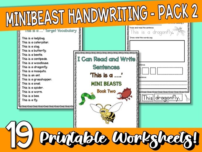 MINIBEAST SENTENCE BUILDER WORKSHEETS PACK TWO Teaching Resources