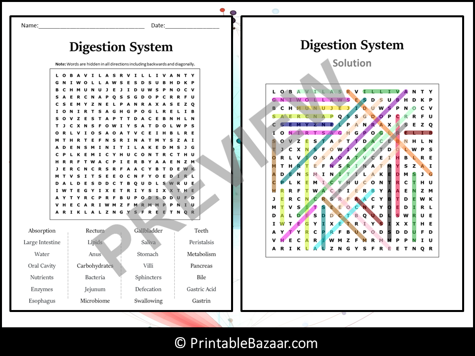 Digestion System Word Search Puzzle Worksheet Activity | Teaching Resources