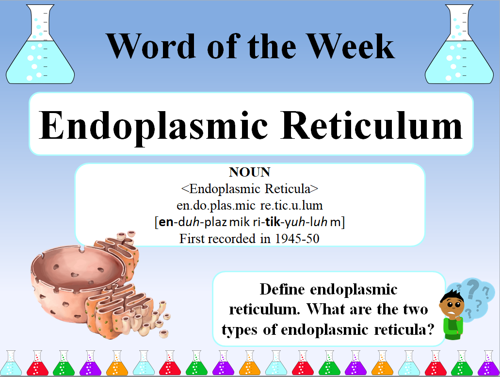 Three weeks of The Cell Bellringers Warm Ups with Answer Key | Teaching ...