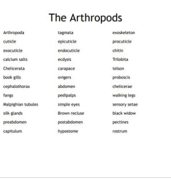 "The Arthropods" Bingo for a Zoology Course | Teaching Resources
