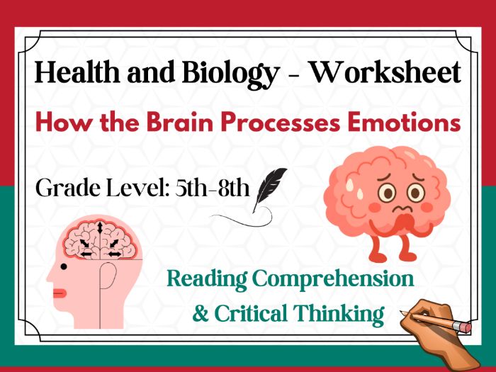 How the Brain Processes Emotions: Reading Comprehension Passages ...