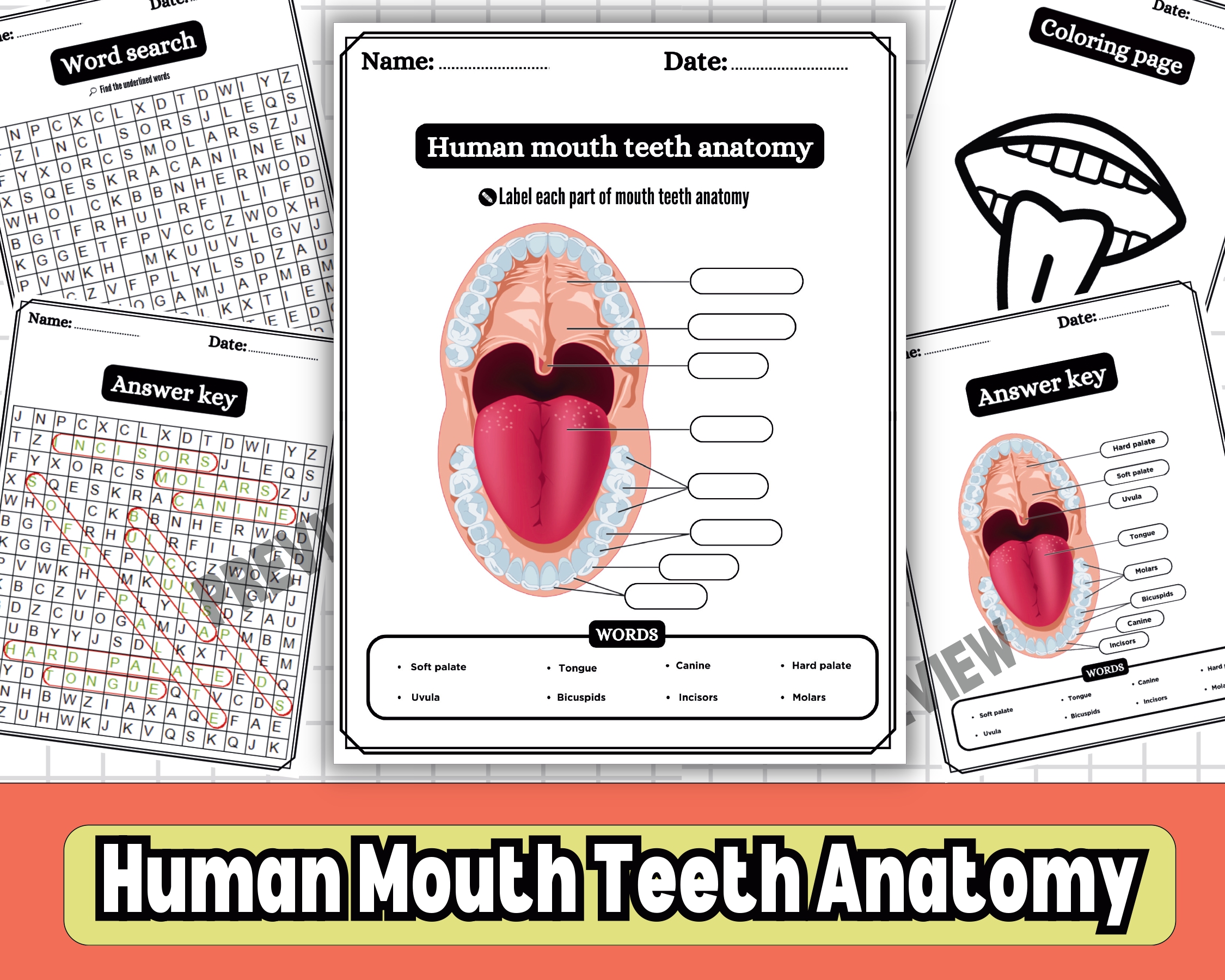 Human Mouth & Teeth Anatomy Worksheets,Labeling Diagram,Word Search ...
