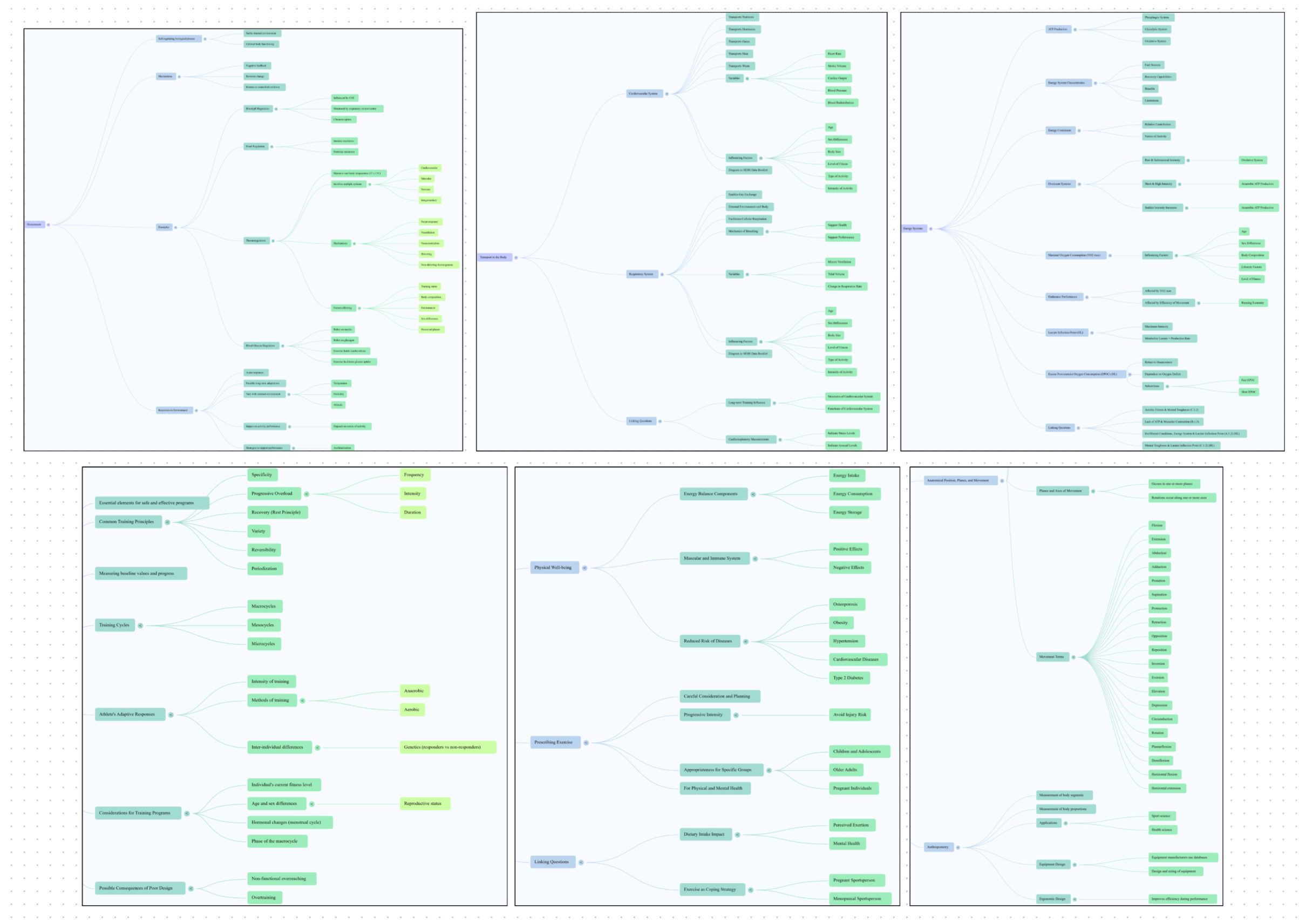 IB DP SEHS: Two-Year Syllabus Mind Maps – Visual Revision Maps ...