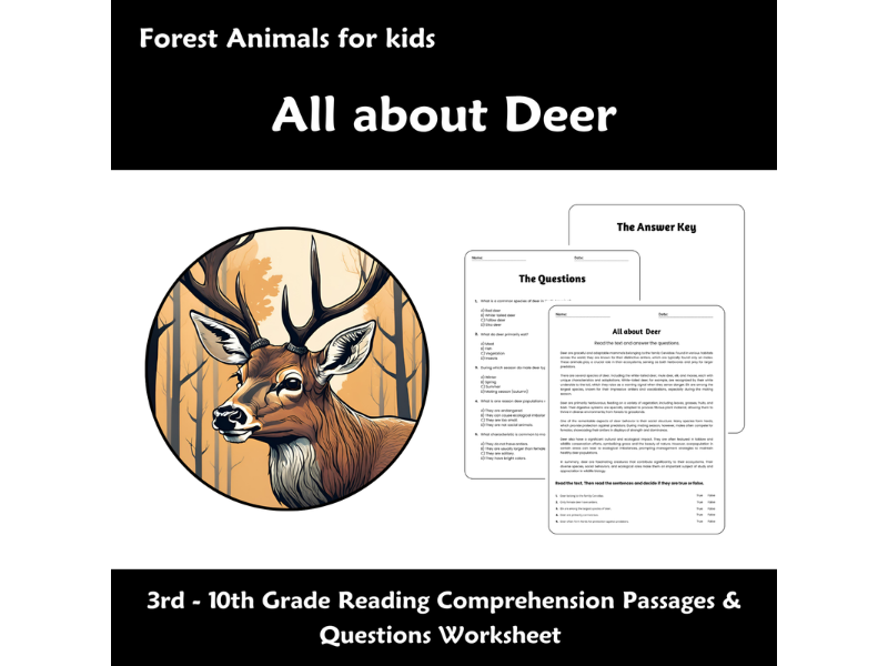 All About Deer - Reading Comprehension Passages & Questions Worksheets ...