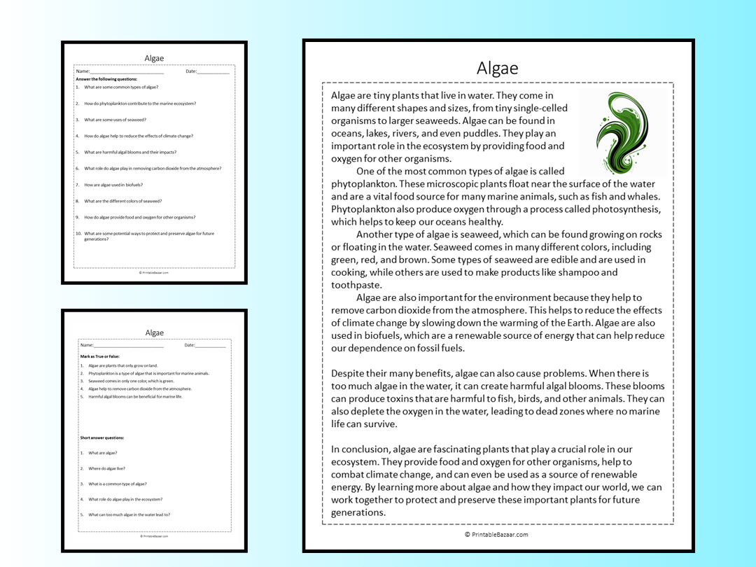 Algae Reading Comprehension Passage Printable Worksheet | Teaching Resources