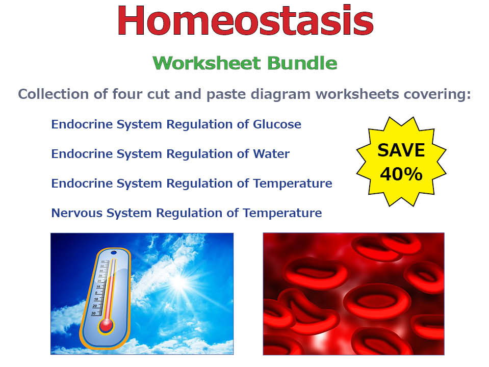 GoodScienceWorksheets's Shop - Teaching Resources - TES