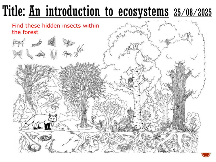 Intro to ecosystems - complete lesson (A2) | Teaching Resources