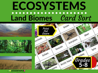 Ecosystems Activities | Card Sort Bundle | Teaching Resources