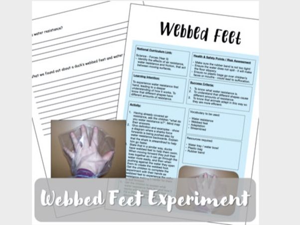 Middle School Teaching Resources: 6th, 7th, 8th Grade | Tes
