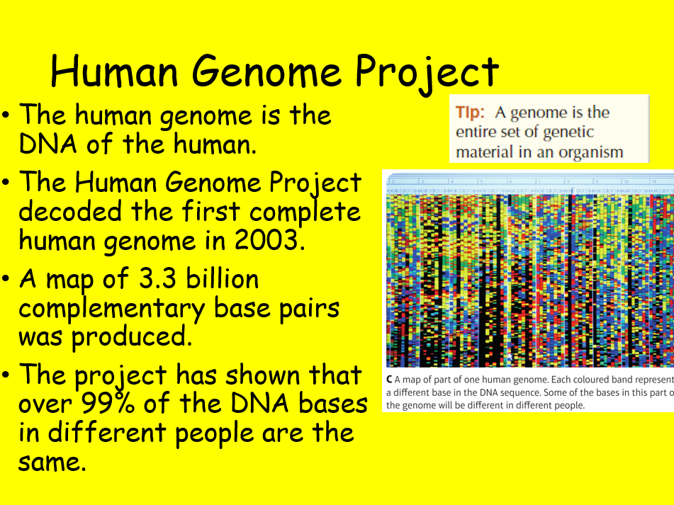 Edexcel Cb3 Sb3 Gene Mutation Complete Lesson Gcse Biology Combined