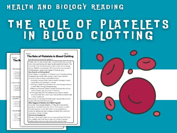 The Role of Platelets in Blood Clotting - Health Reading Worksheet ...