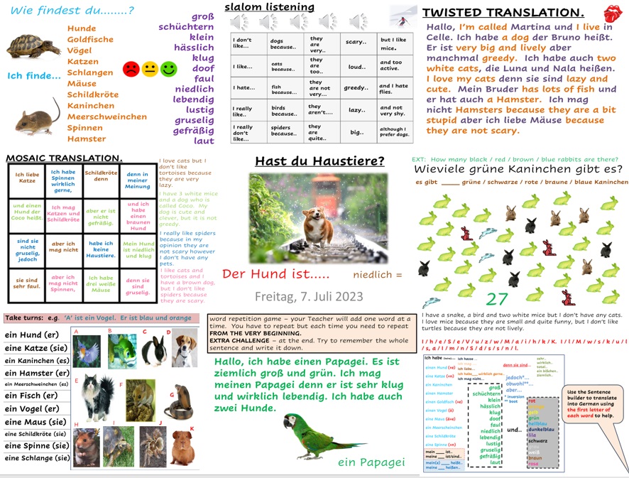 German - Animals / Pets (Premium Resource) | Teaching Resources
